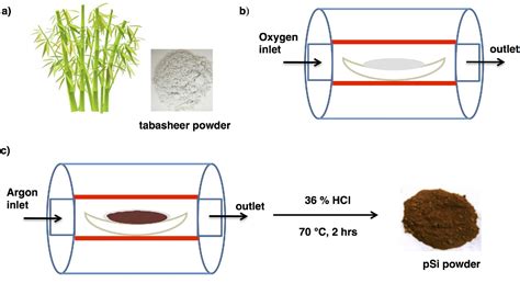 Figure 1 From University Of Birmingham Single Plant Derived Nanotechnology For Synergistic
