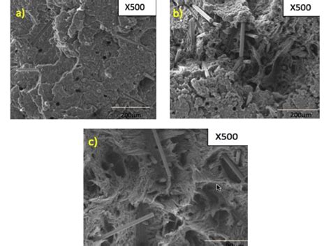 Sem Micrographs A 10 Wt Rcf Untreated Pp Composite B 10 Wt