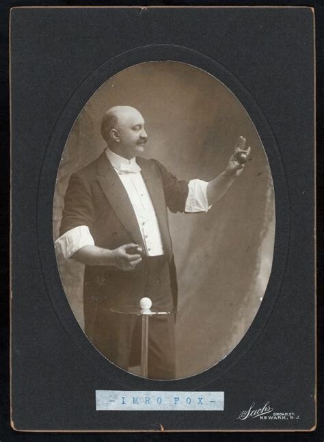 11 Magician Imro Fox Ideas The Magicians Fox The Conjuring