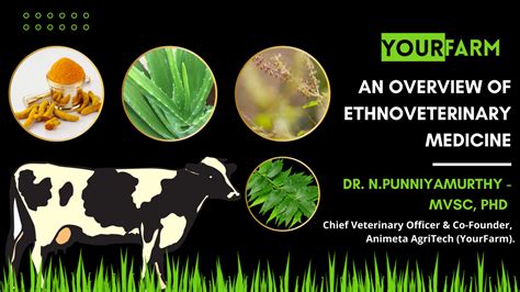 Dr Vijayakumar Ramalingam On Linkedin An Overview Of Ethnoveterinary