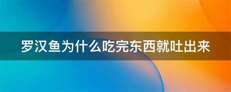 罗汉鱼为什么吃完东西就吐出来 业百科