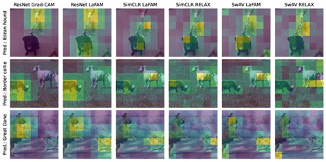 Saliency Maps Comparison For Scenes With Two Distinct Objects Download Scientific Diagram