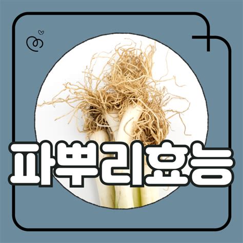파뿌리 효능 감기 예방에 좋은 이유 네이버 블로그