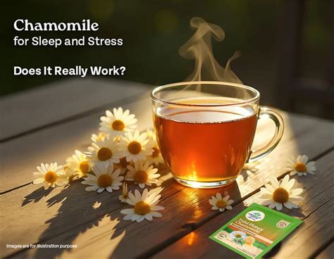 Organic Chamomile Tea For Sleep And Stress Relief Organic India