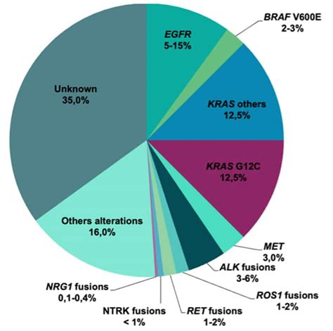 Oncodeep Advanced Lung Cancer Treatment And Diagnosis