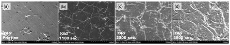 Surface Analysis Of Chamber Coating Materials Exposed To Cf4 O2 Plasma