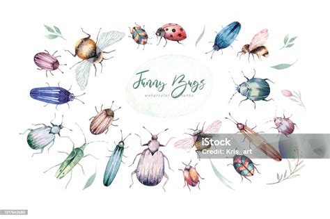 수채화 밝은 딱정벌레 벌레가 날고 꿀벌의 집합 고립 된 다채로운 만화 엉덩이와 버그 곤충 세트 장식 곤충에 대한 스톡 벡터 아트 및 기타 이미지 Istock