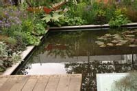 САН Ландшафтный дизайн и проектирование, озеленение и благоустройство ...