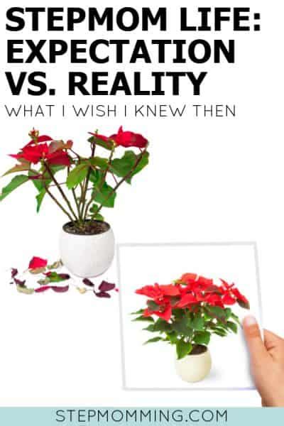 Expectation Vs Reality Of Being A Stepmom Stepmomming Resources And Coaching For Stepmoms
