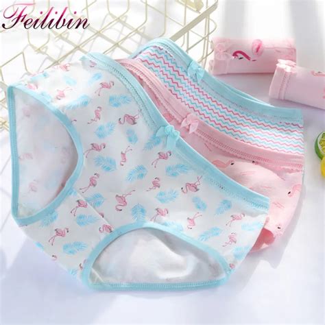 Feilibin Cotton Panties Women Underwear Sexy Briefs 5pcslot Seamles