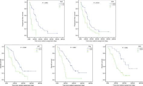 Progression Free Survival And Overall Survival With Basal Factors In
