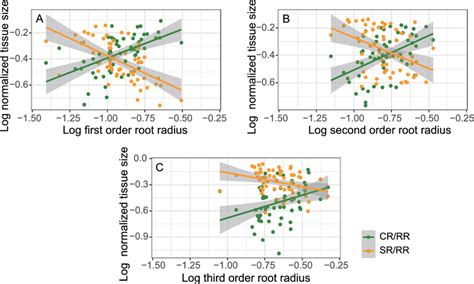 Allometric Relationships Among Different Root Orders Tissues And Root Download Scientific