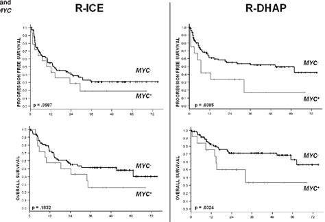 Figure 1 From Myc Diffuse Large B Cell Lymphoma Is Not Salvaged By Classical Rice Or R Dhap