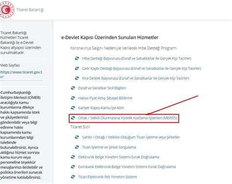E Devlet Kimlik Numarası Kısıtlama Nedir Ne Iş Yarıyor Nasıl Yapılır