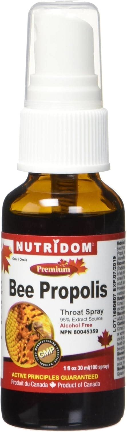 Nutridom Bee Propolis Premium Throat Spray Milliliter Amazon Ca Health Personal Care
