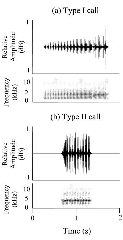 Signal Synchrony And Alternation Among Neighbor Males In A Japanese Stream Breeding Treefrog