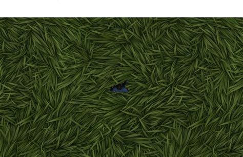 Camera On Design View Does Not Show The Correct Position In Unity Stack Overflow