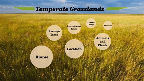 Temperate Grasslands Climate