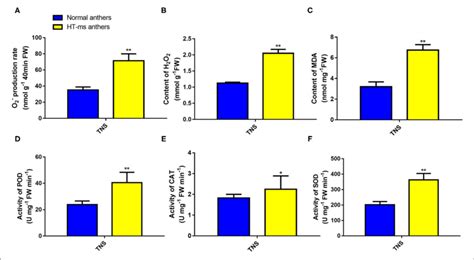 Reactive Oxygen Species Ros Accumulation And Pod Cat And Sod