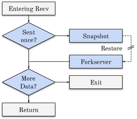Hooked Recv Function Of Fitm It Will Take A New Snapshot After Each Download Scientific