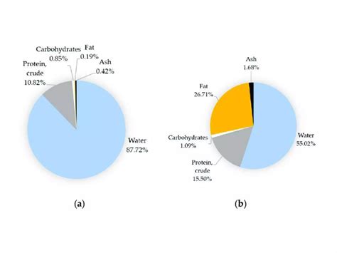 Egg Processingpptx Egg Processingpptx