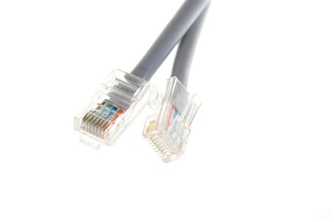 Lan 통신 케이블 Rj45 흰색 배경의 0명에 대한 스톡 사진 및 기타 이미지 0명 기업 재무와 산업 Istock
