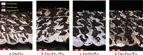 Cross Sectional Macrostructure Of The Cu Fe Alloy By Laser Cladding Download Scientific Diagram