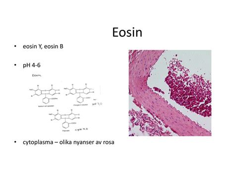 Ppt Färgningsteori Powerpoint Presentation Free Download Id5493296