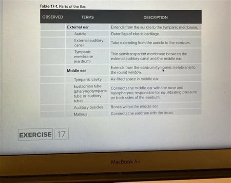 Solved Vestul Scala Meda Scala Tympan Organ Of Corti Table Chegg Com