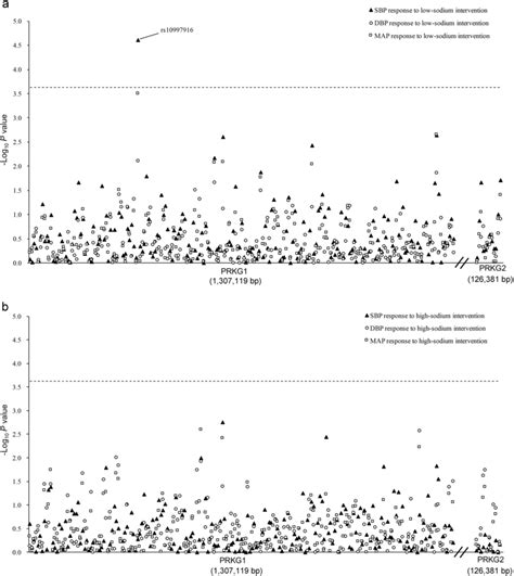 Log10p Values For The Associations Of 213 Snps In Prkg1 And Prkg2