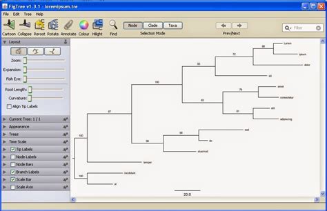 Phylobotanist Comparison Of Phylogenetic Tree Viewing Programs Treeview Figtree Dendroscope