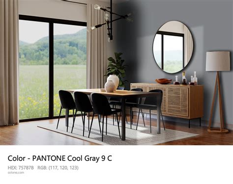 About Pantone Cool Gray C Color Color Codes Similar Colors And Paints Colorxs Com