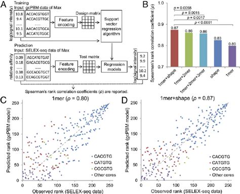 Performance Of Binding Specificity Models Across Experimental Download Scientific Diagram