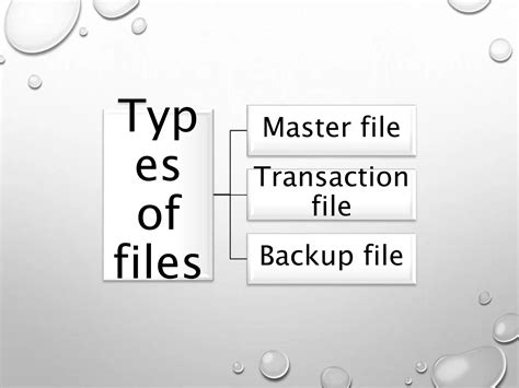 Fields Record And Files Types Of Files From Usage Point Of You Pptx Databases Computer