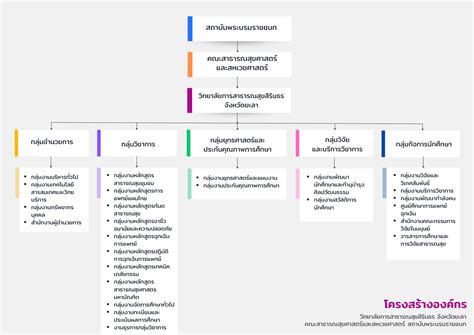 โครงสร้างองค์กร วิทยาลัยการสาธารณสุขสิรินธร