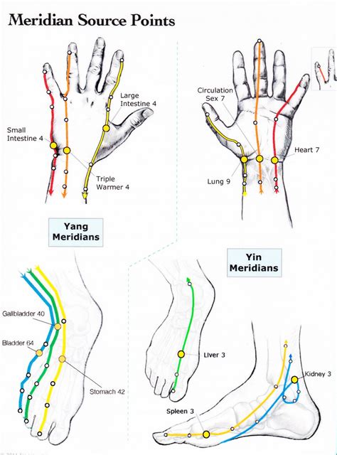 Meridian Balancing — Eden Method Victoria Acupressure Points