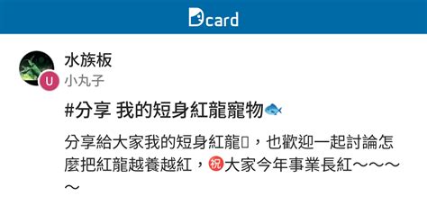 分享 我的短身紅龍寵物 水族板 Dcard