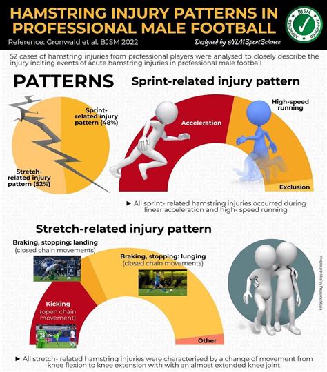 Moving Towards A Triplanar View Of Hamstring Strain Injuries BJSM