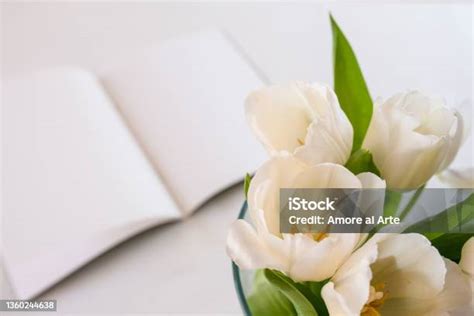 흰색 배경에 펜과 흰색 튤립이있는 빈 흰색 소책자 공간을 복사합니다 0명에 대한 스톡 사진 및 기타 이미지 0명 경쟁 계절 Istock