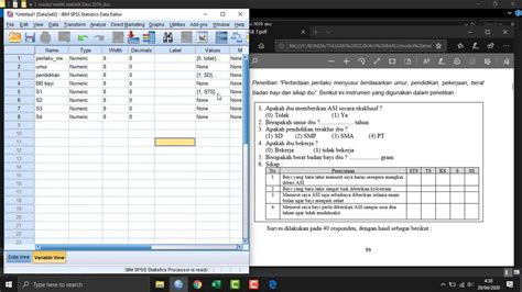Video 6 Entry Data Spss Youtube