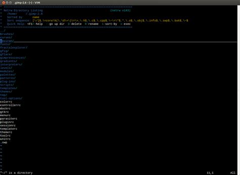 Gnome Terminal Vims Directory Browser Underlines Super User