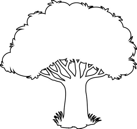 Blank Tree Outline