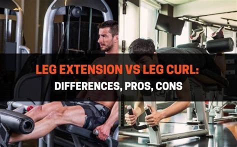 Leg Extension Vs Leg Curl Differences Pros Cons