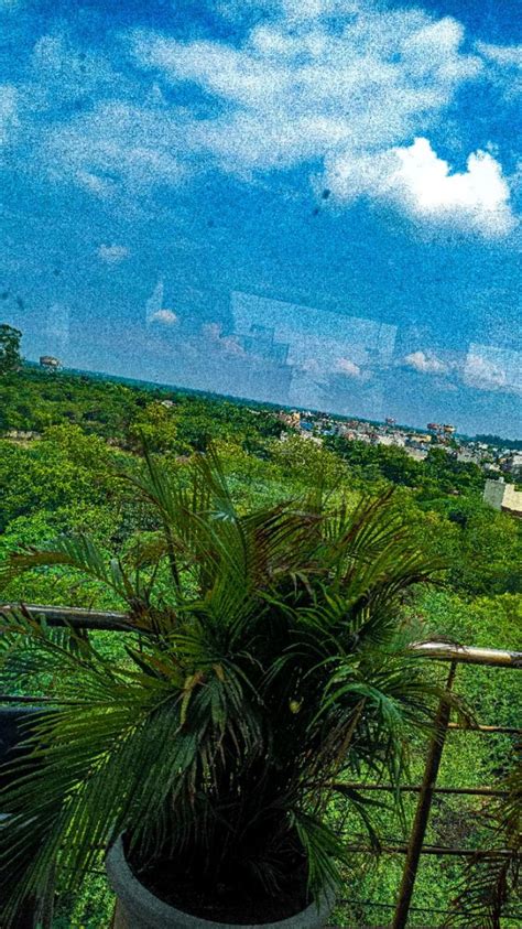 Most Beautiful Nature Picture