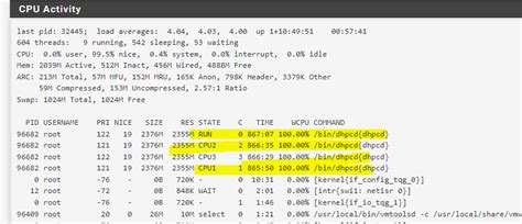 Daemon Dhcpd Use Cpu 100 Netgate Forum