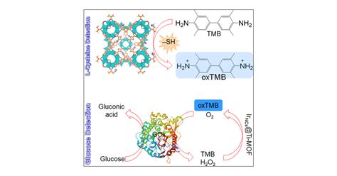 Ir Cluster Anchored Mofs As Peroxidase Mimetic Nanoreactors For Diagnosing Hydrogen Peroxide