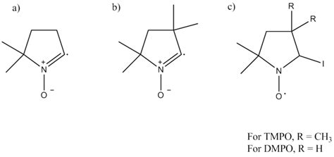 Structure Of The Radical Intermediate A Dmpo And B Tmpo After Download Scientific Diagram