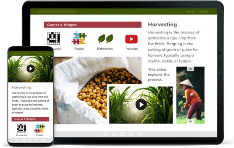 Display Your Book Widgets Inside Epub Android Ios Windows Mac And Scorm Kotobee Author