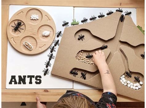 Best 13 Ant 3 Part Cards Montessori Ant Printables Artofit