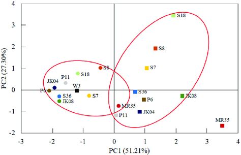 Profiling Of Volatile Higher Alcohols Based On Principal Component Download Scientific Diagram